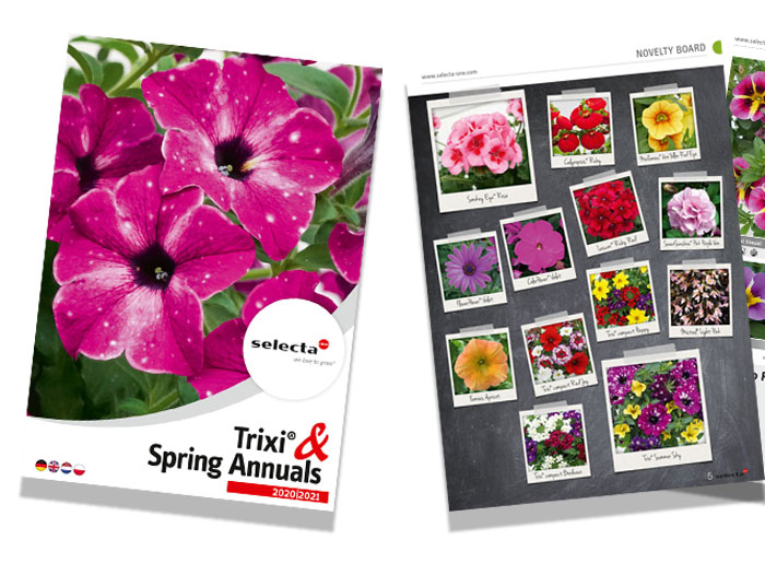 Selecta One Releases New B&B + Trixi Catalog 2020/2021 - Perishable News