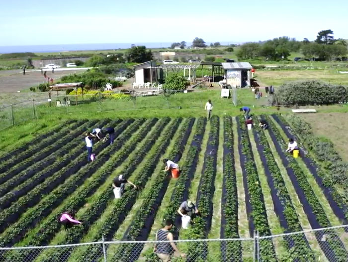 Awe Sum Organics is Making a Difference in both the Local and Global ...